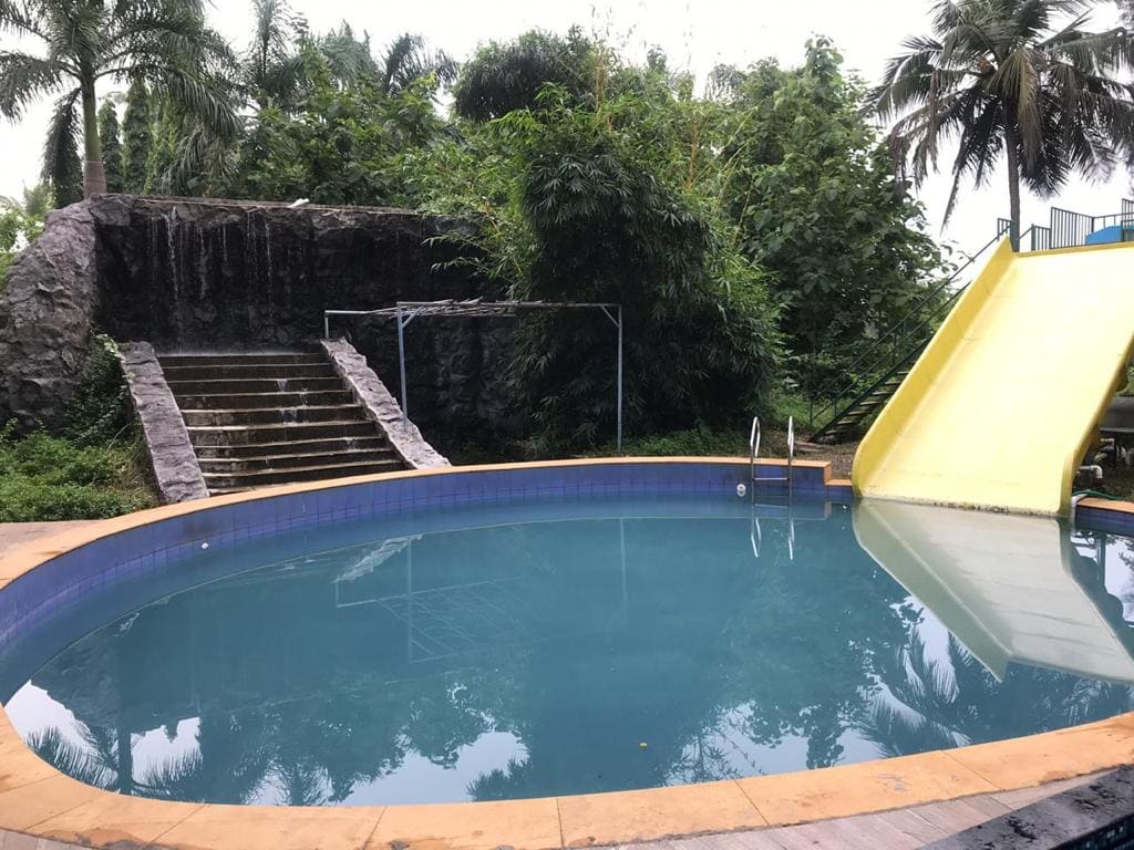 Forest Falls - Memories that will last forever