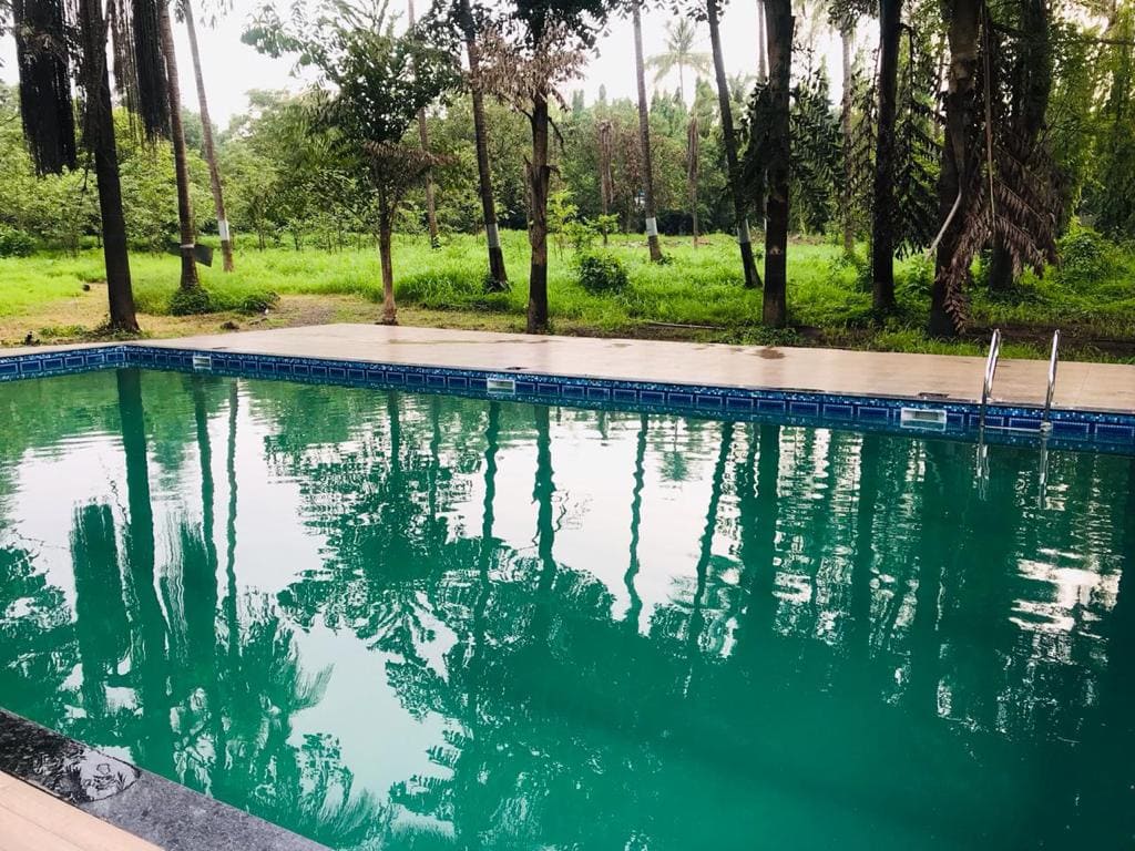 Forest Falls - Memories that will last forever